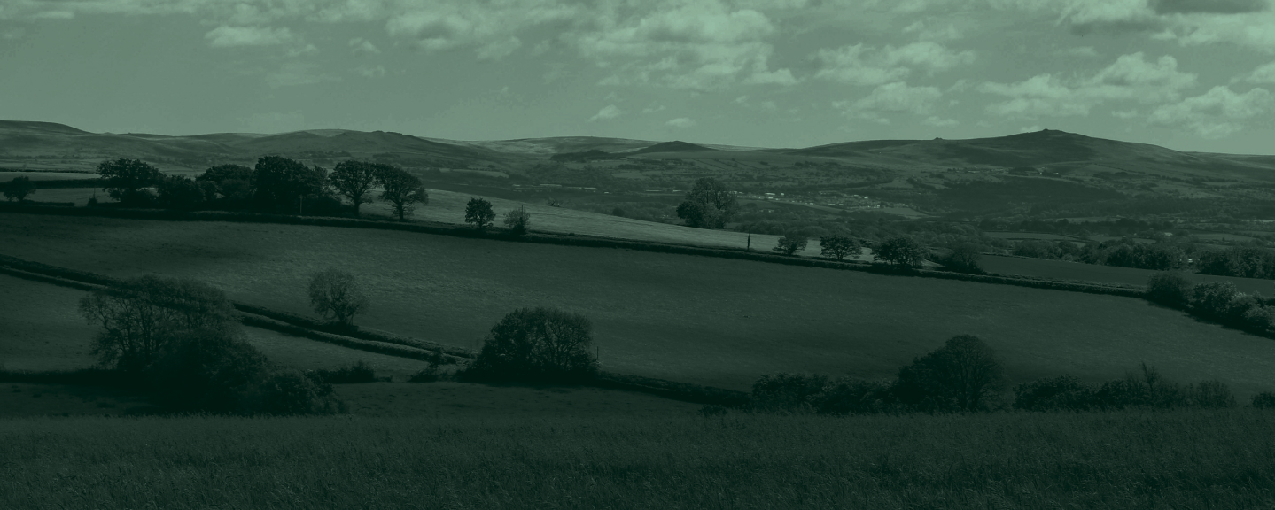 Private Debt Investor: The year of junior debt - Park Square